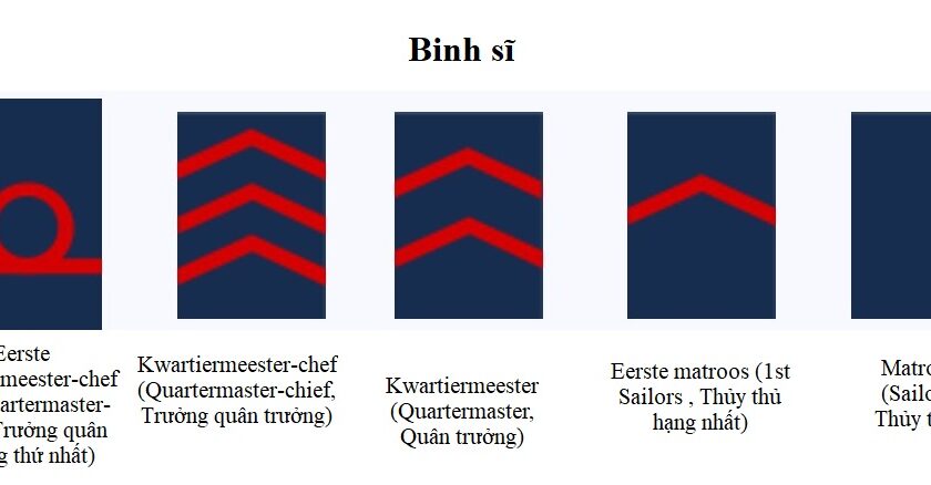 CẤP BẬC TRONG HẢI, LỤC, KHÔNG QUÂN - Lemo's linkebook